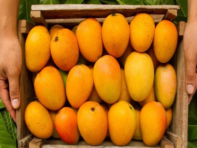 News Shot - OMYINDIAN